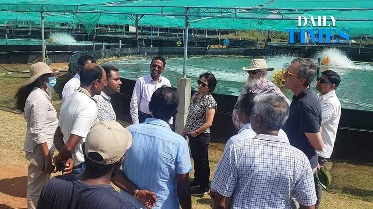 හලාවත ඉස්සන් වගාකිරීමේ ව්‍යාපෘතිය නැරඹීමට ලෝක බැංකු නියෝජිතයන් පැමිණෙයි ...